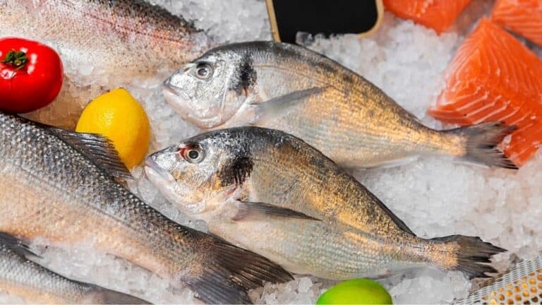Can You Eat Fish with Rigor Mortis? [Answered]