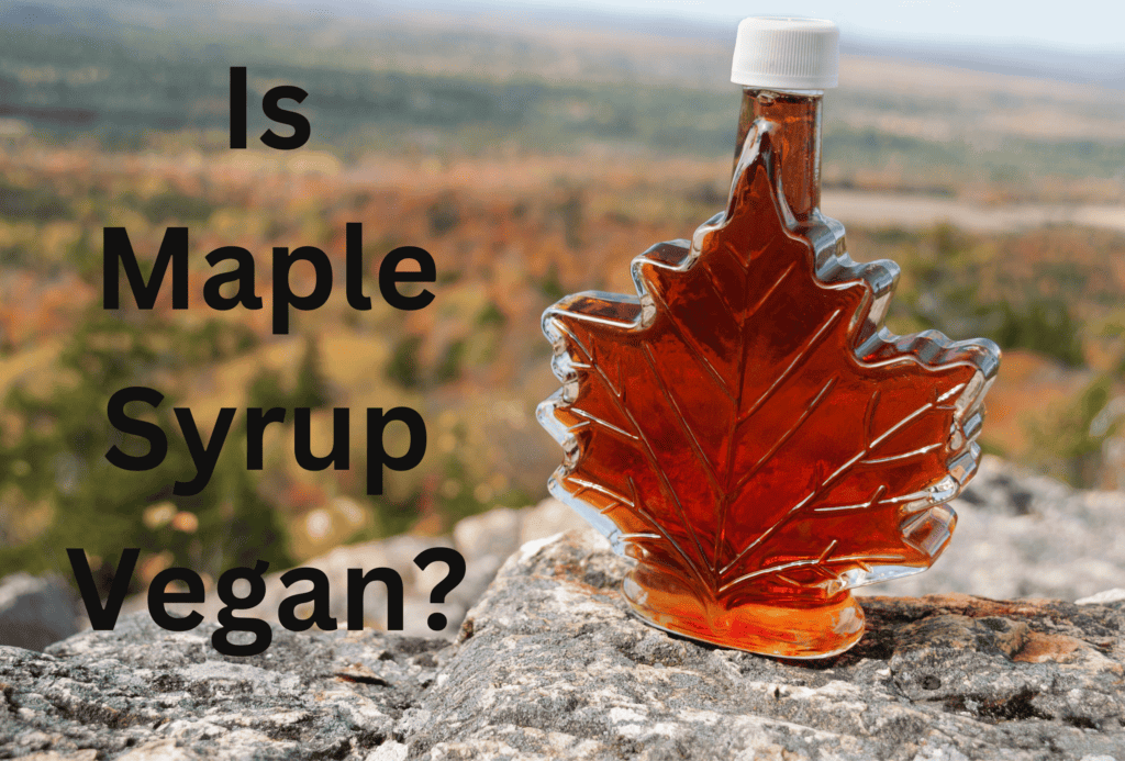 Is Maple Syrup Vegan? Uncovering the Truth